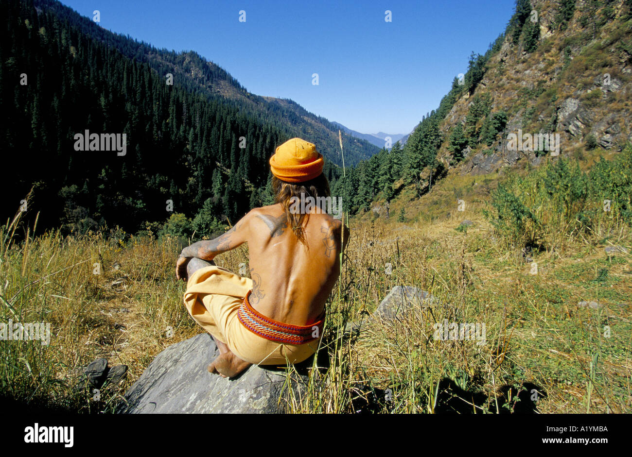 Peter scharf -Fotos und -Bildmaterial in hoher Auflösung – Alamy