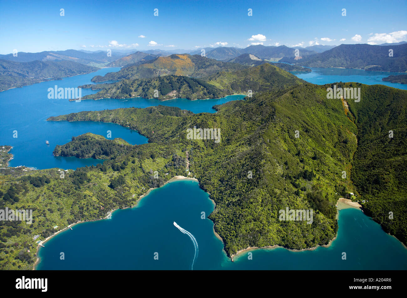 Torea Bay Queen Charlotte Sound Marlborough Sounds Südinsel Neuseeland ...