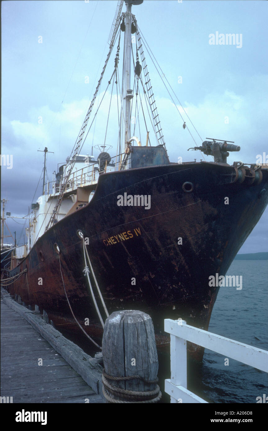 Wal harpune -Fotos und -Bildmaterial in hoher Auflösung – Alamy