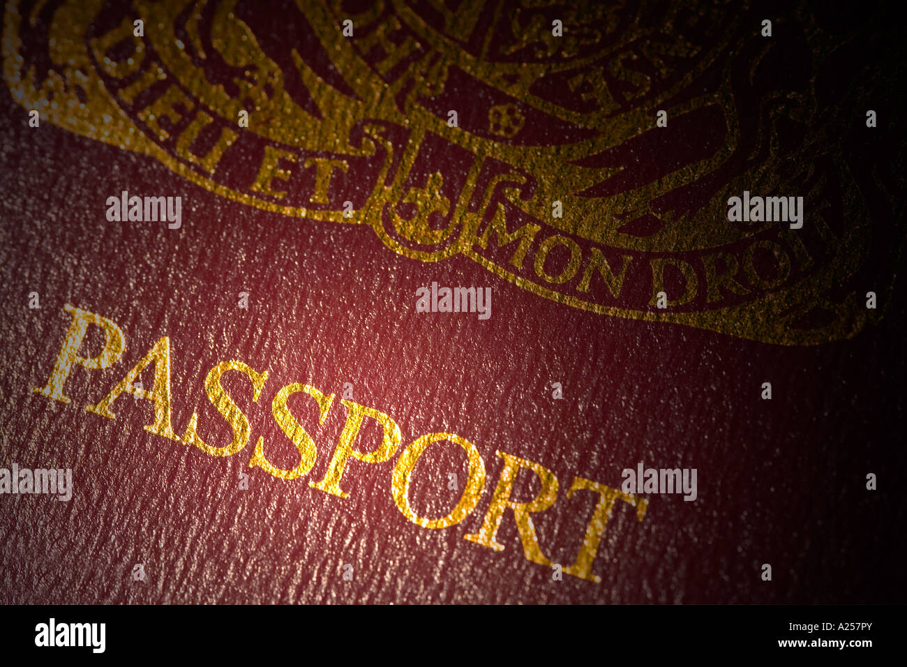 Official passport -Fotos und -Bildmaterial in hoher Auflösung – Alamy