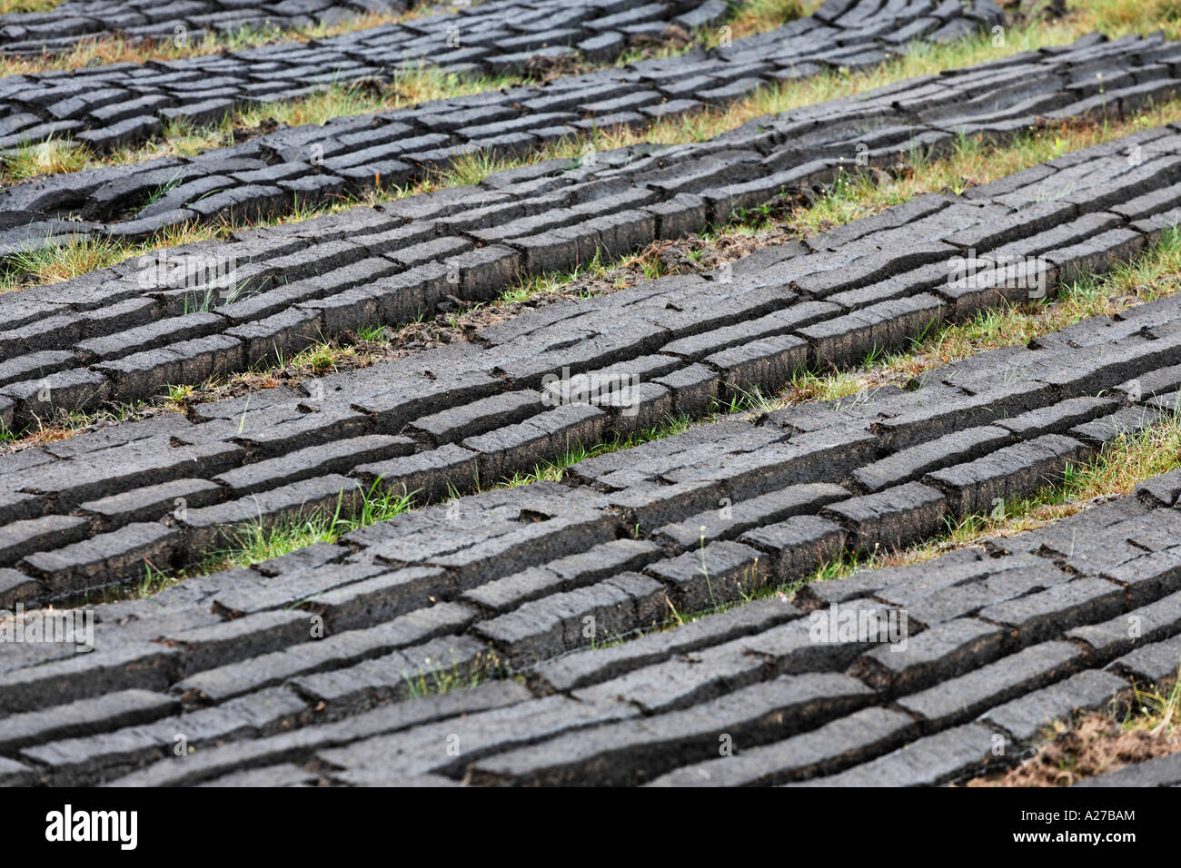 Getrockneter torfboden -Fotos und -Bildmaterial in hoher Auflösung – Alamy