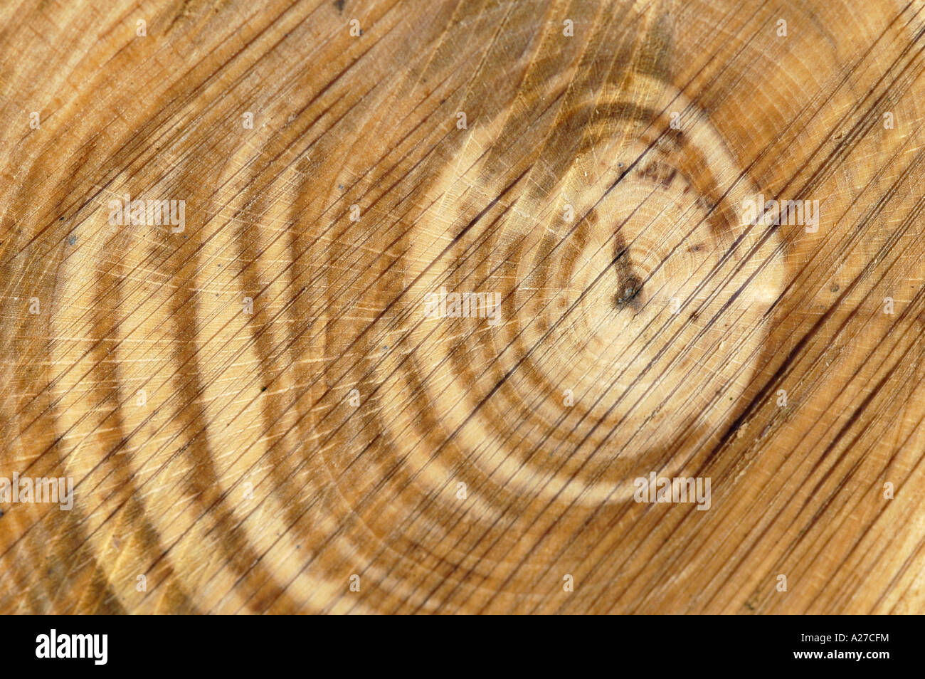 Gebogene holzstruktur -Fotos und -Bildmaterial in hoher Auflösung – Alamy