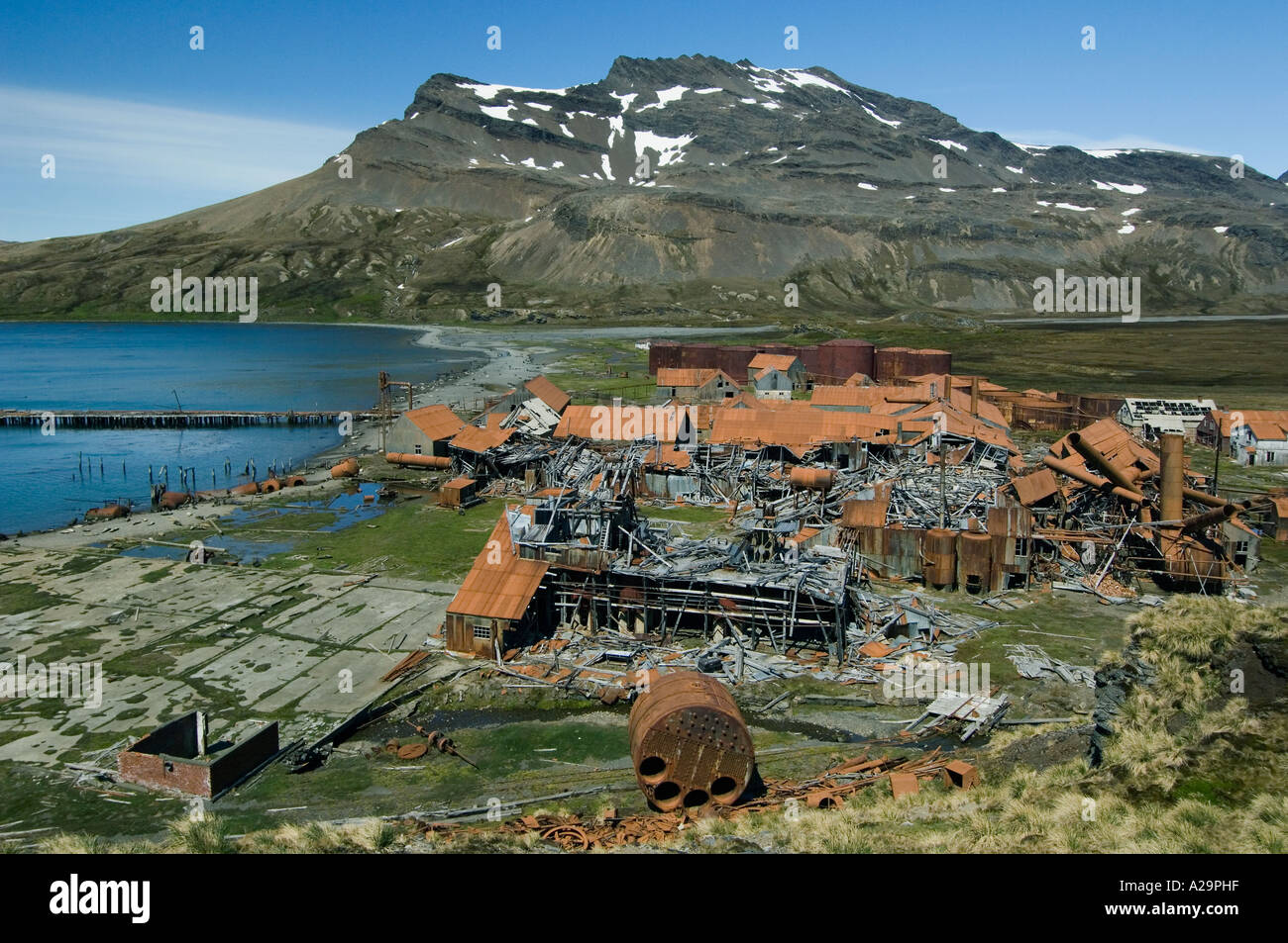 South Georgia Island, Südatlantik, Husvik Walfangstation ...