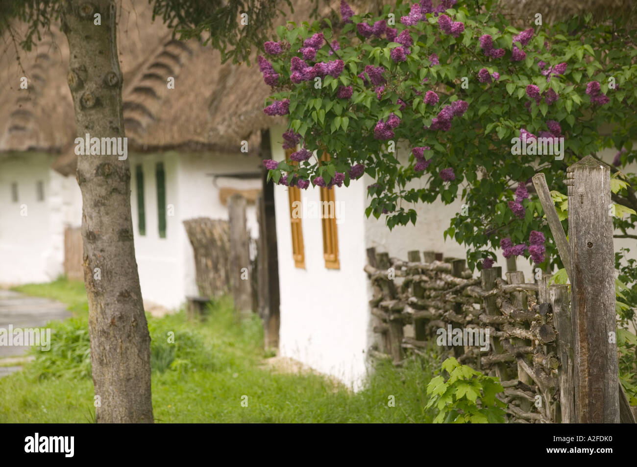 Szombathely western transdanubia hungary -Fotos und -Bildmaterial in ...