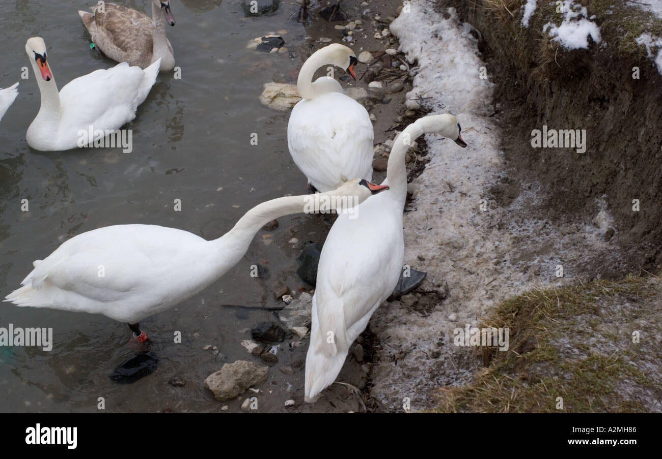Brondby strand -Fotos und -Bildmaterial in hoher Auflösung – Alamy