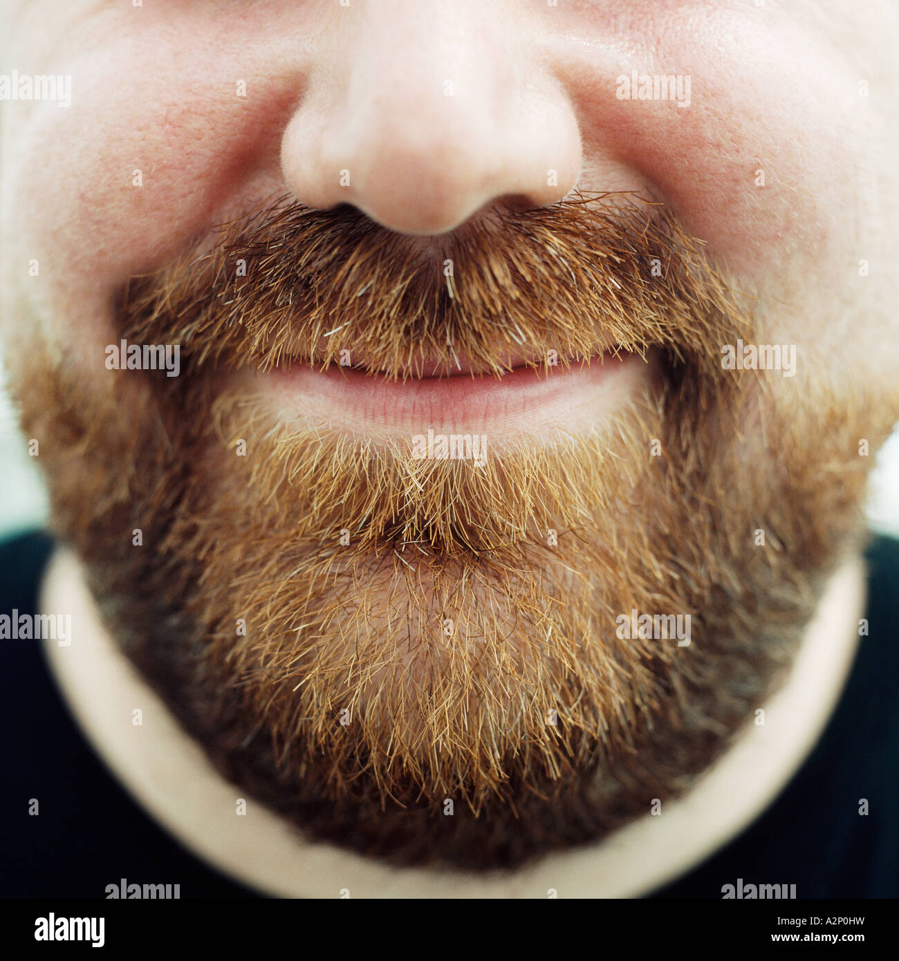 Der bart -Fotos und -Bildmaterial in hoher Auflösung – Alamy