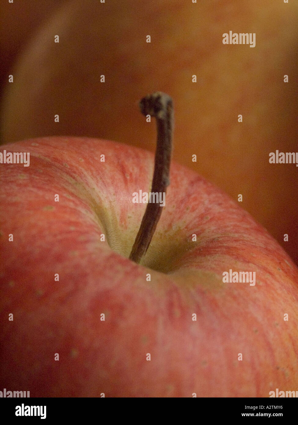 Apple apples annurca -Fotos und -Bildmaterial in hoher Auflösung – Alamy