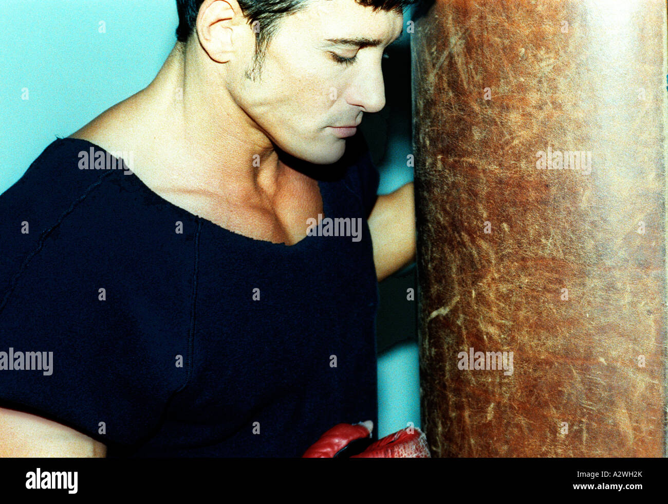 Fairer boxer -Fotos und -Bildmaterial in hoher Auflösung – Alamy