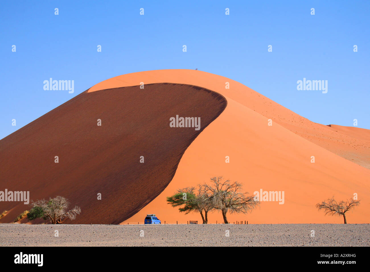 Düne 45 im Sossusvlei Namib Wüste Namibia Stockfotografie - Alamy