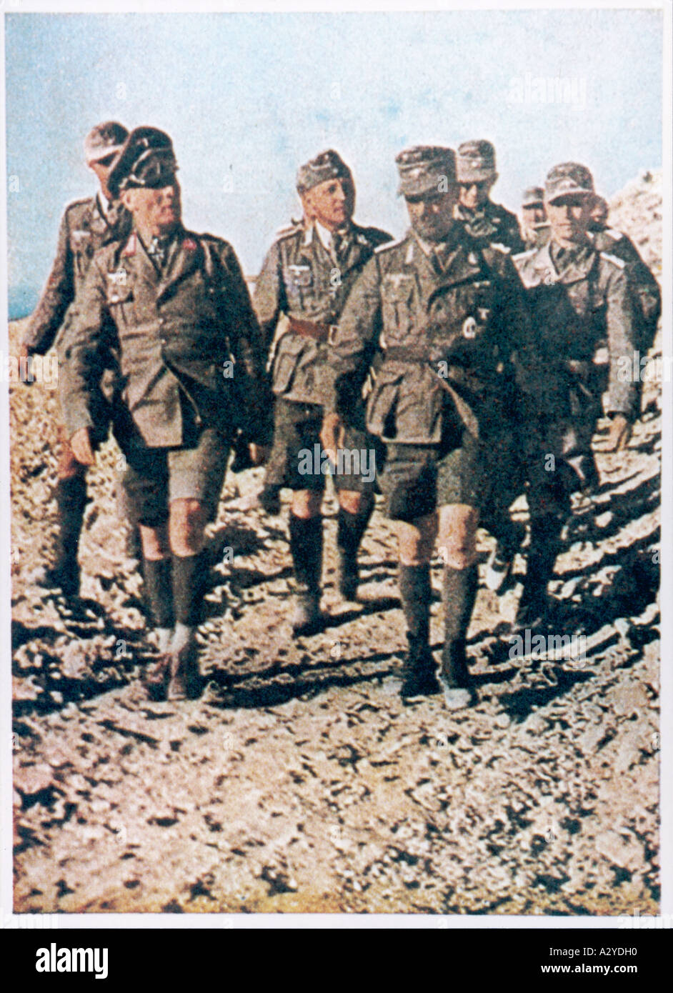 Field Marshal Erwin Rommel Stockfotos und -bilder Kaufen - Alamy