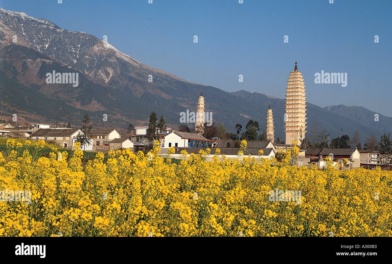 Li nan -Fotos und -Bildmaterial in hoher Auflösung – Alamy