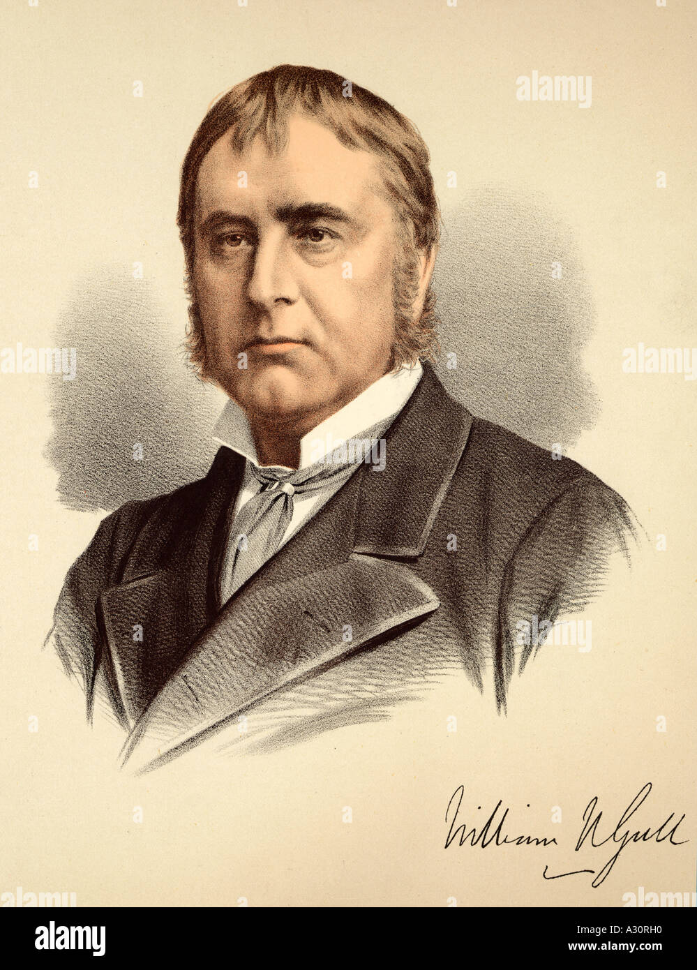 William gull -Fotos und -Bildmaterial in hoher Auflösung – Alamy