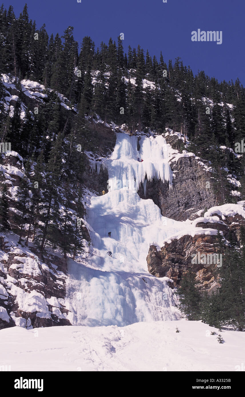 Bridal vail -Fotos und -Bildmaterial in hoher Auflösung – Alamy