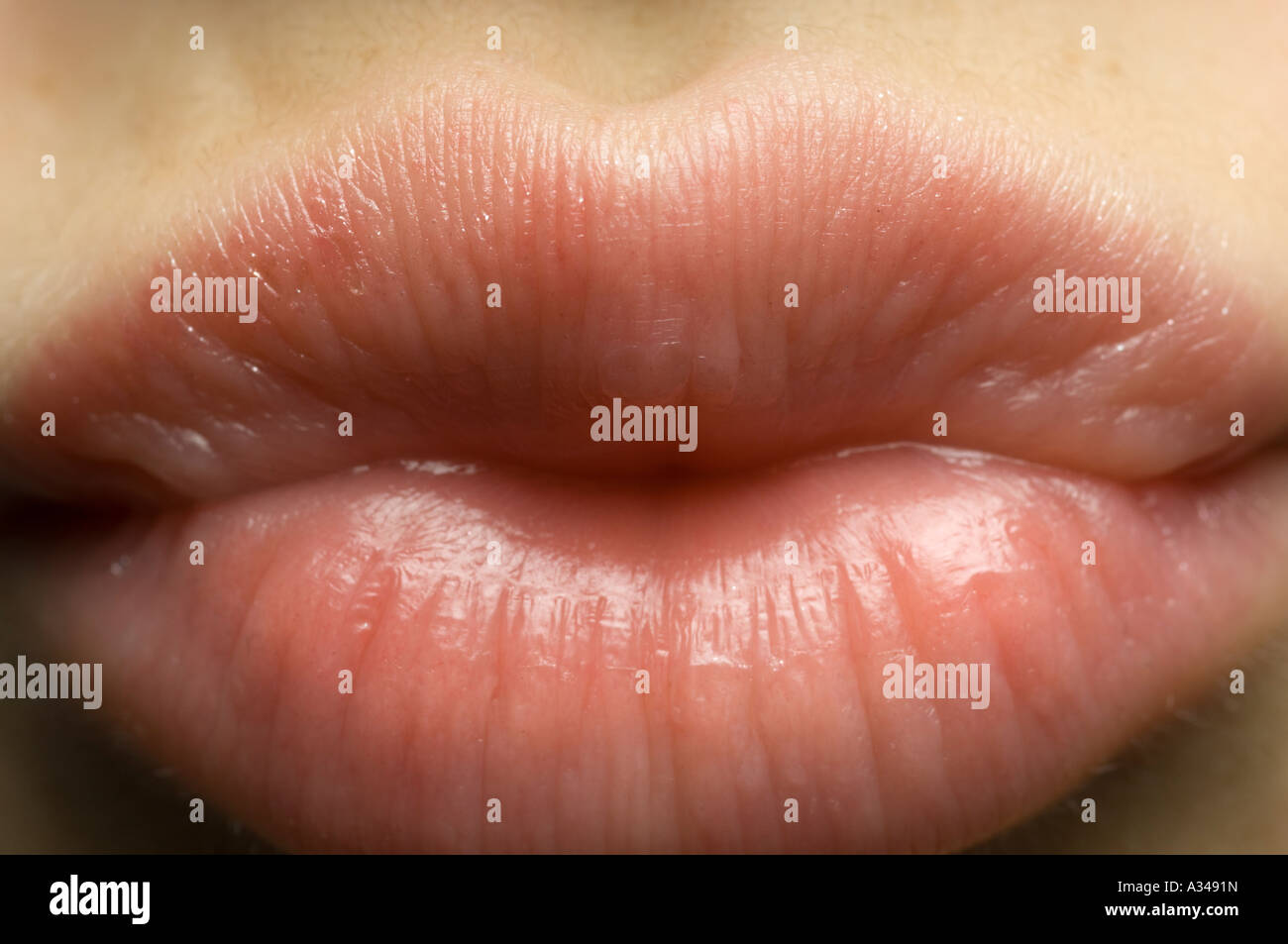 Lippen fest -Fotos und -Bildmaterial in hoher Auflösung – Alamy
