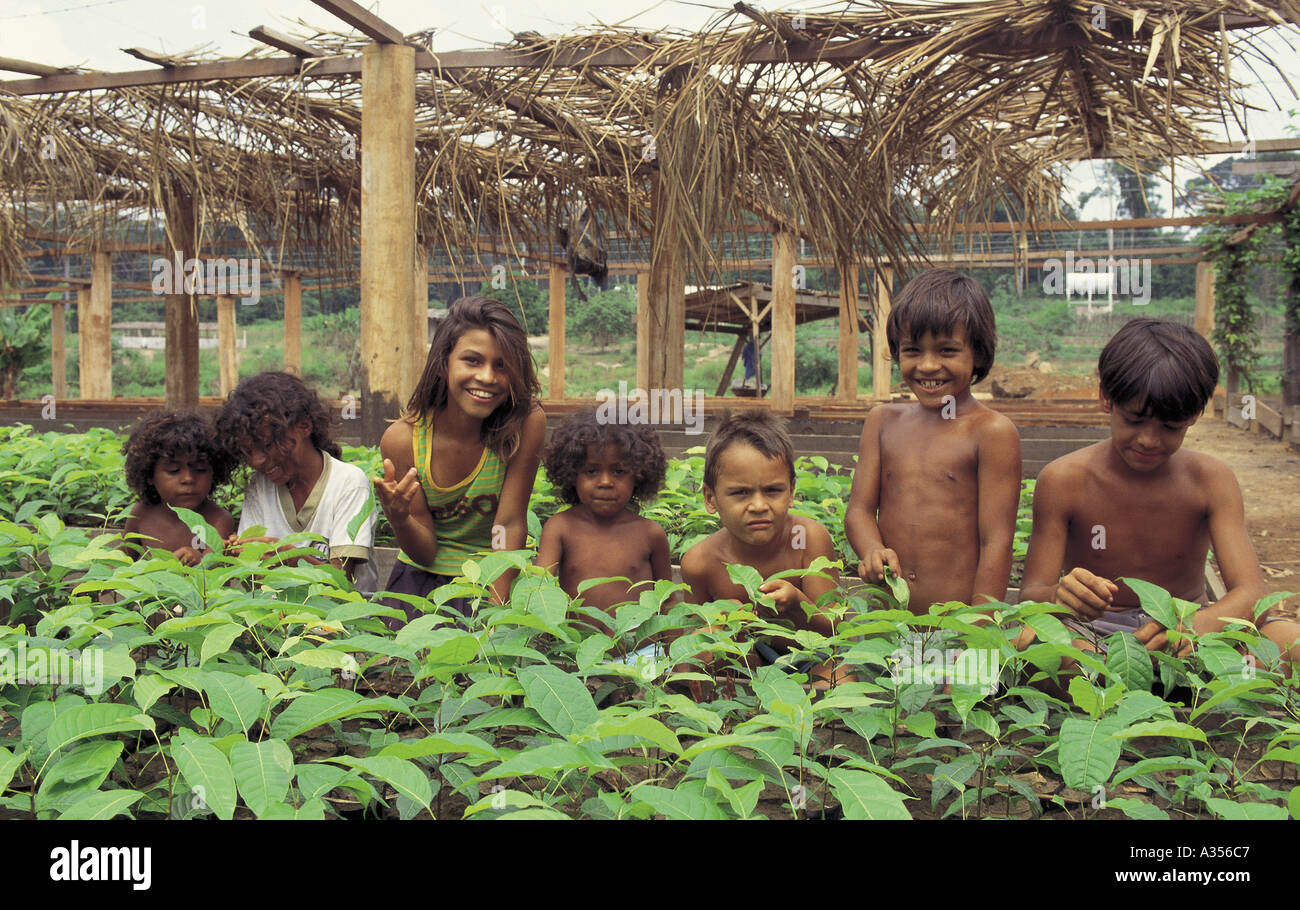 Juruena-Brasilien-Gruppe von Kindern mit Baumsetzlinge für ein ...