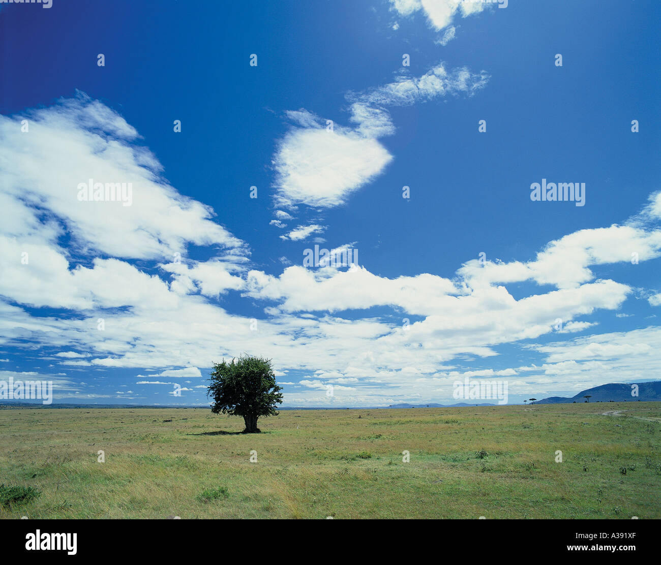 Horizont himmel -Fotos und -Bildmaterial in hoher Auflösung – Alamy