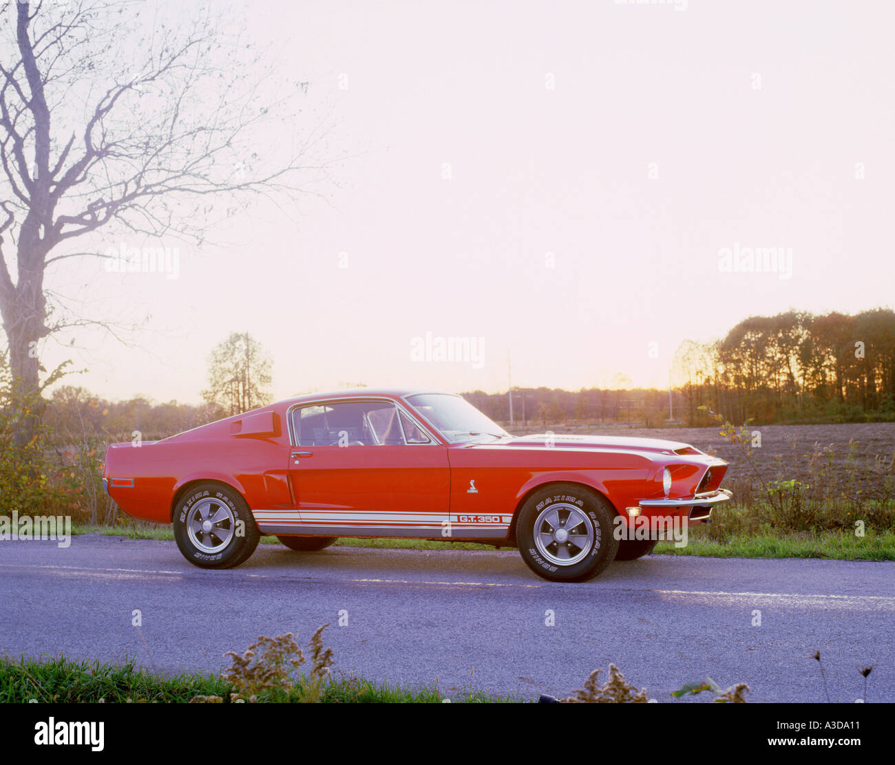 Side view shelby mustang car -Fotos und -Bildmaterial in hoher ...