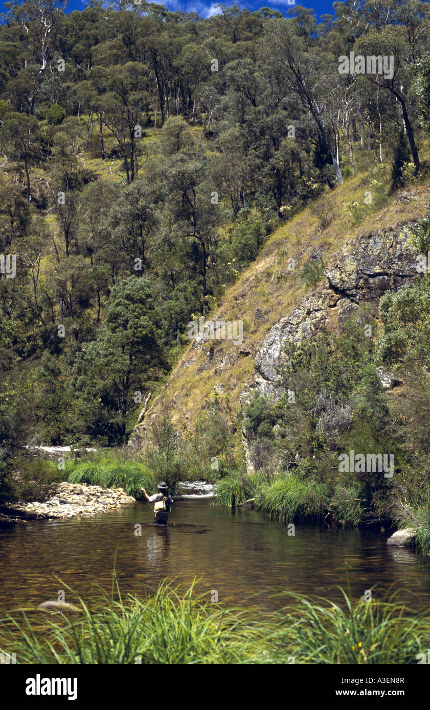 Victorian bushland szenen -Fotos und -Bildmaterial in hoher Auflösung ...