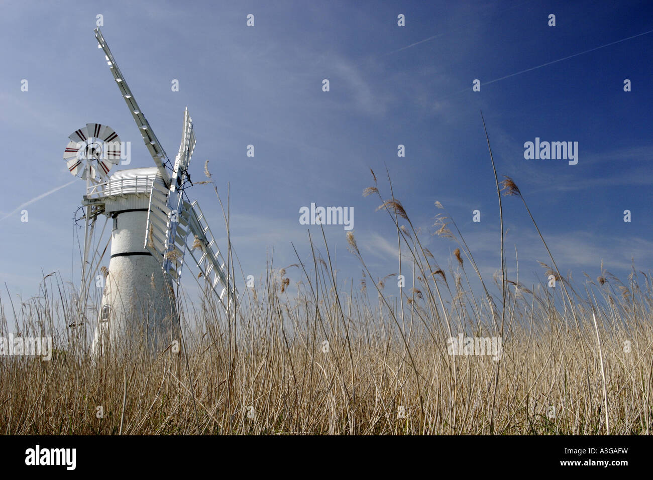 Thurne Deich Windmühle auf dem Fluss Thurne, Norfolk Broads, England ...
