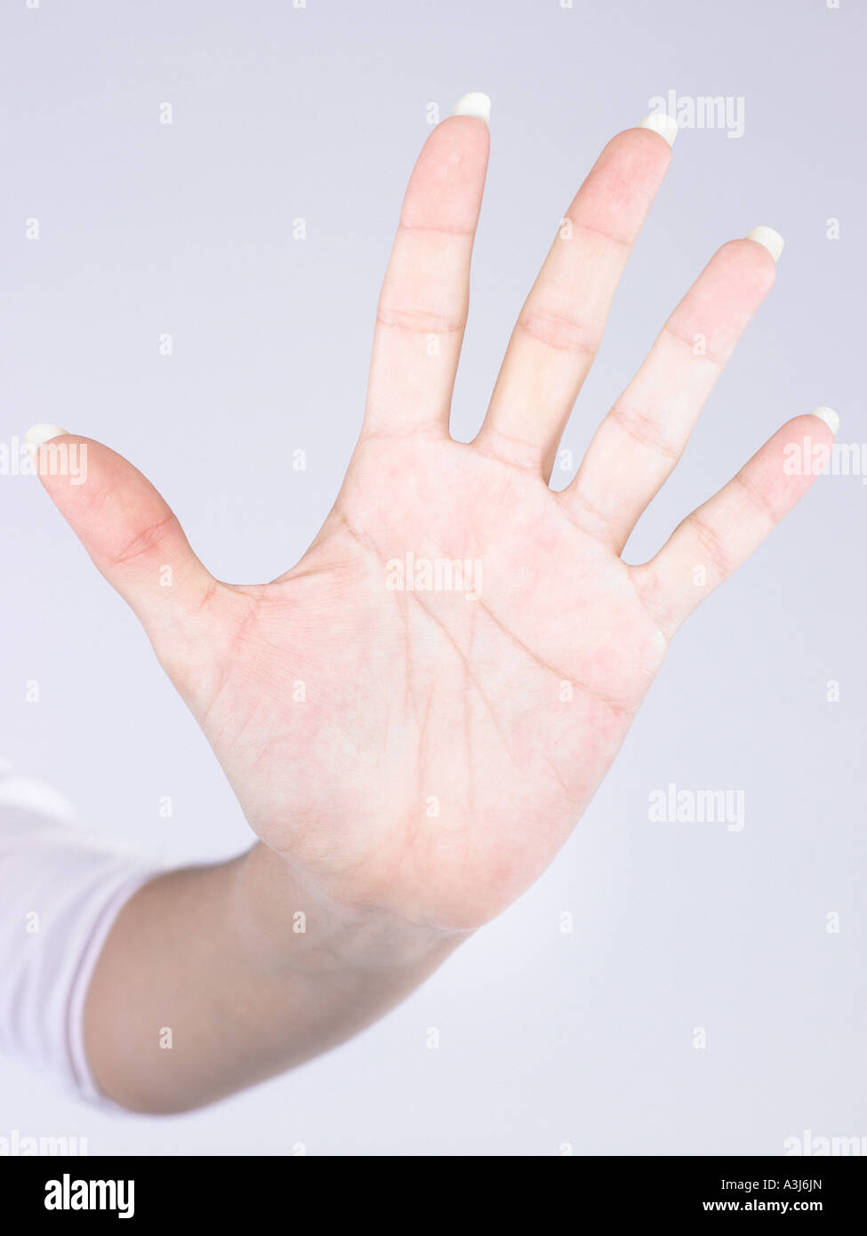 Menschliche Handanatomie Stockfotos und -bilder Kaufen - Alamy