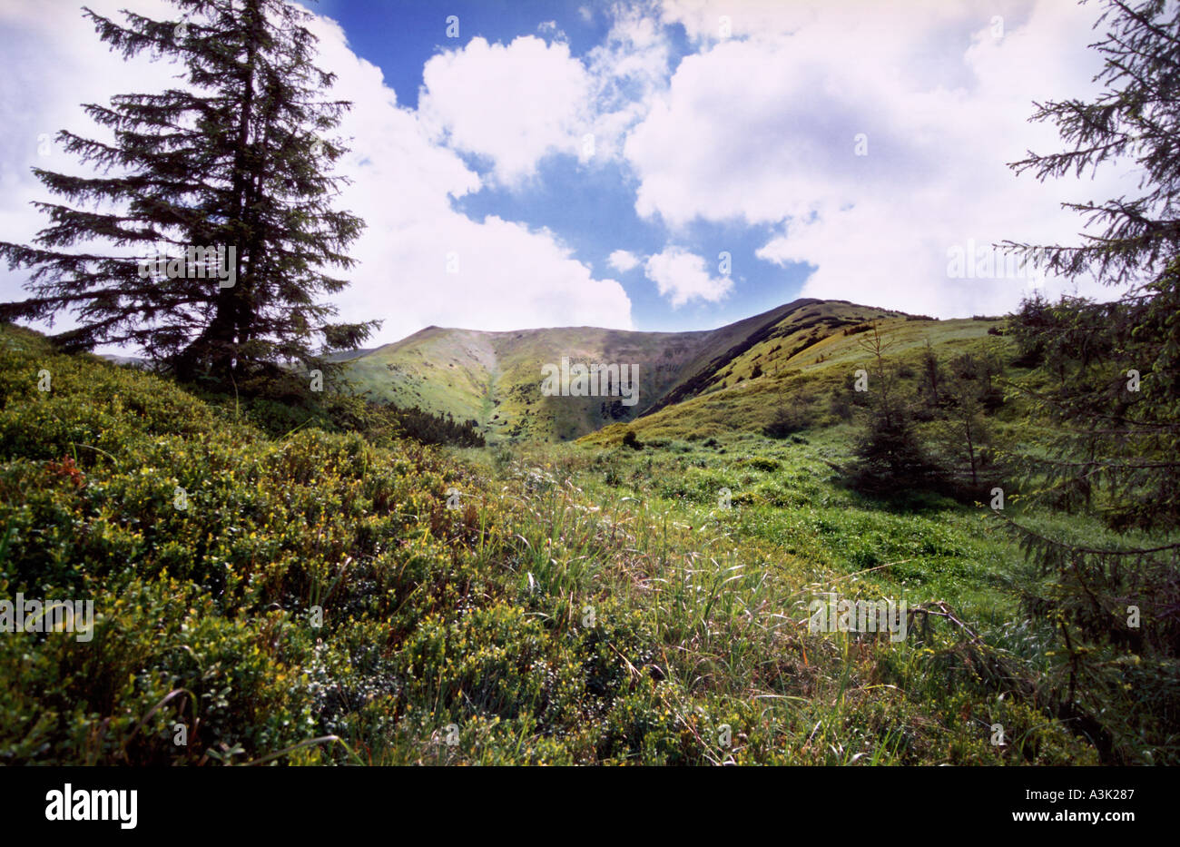 Velka chochula -Fotos und -Bildmaterial in hoher Auflösung – Alamy