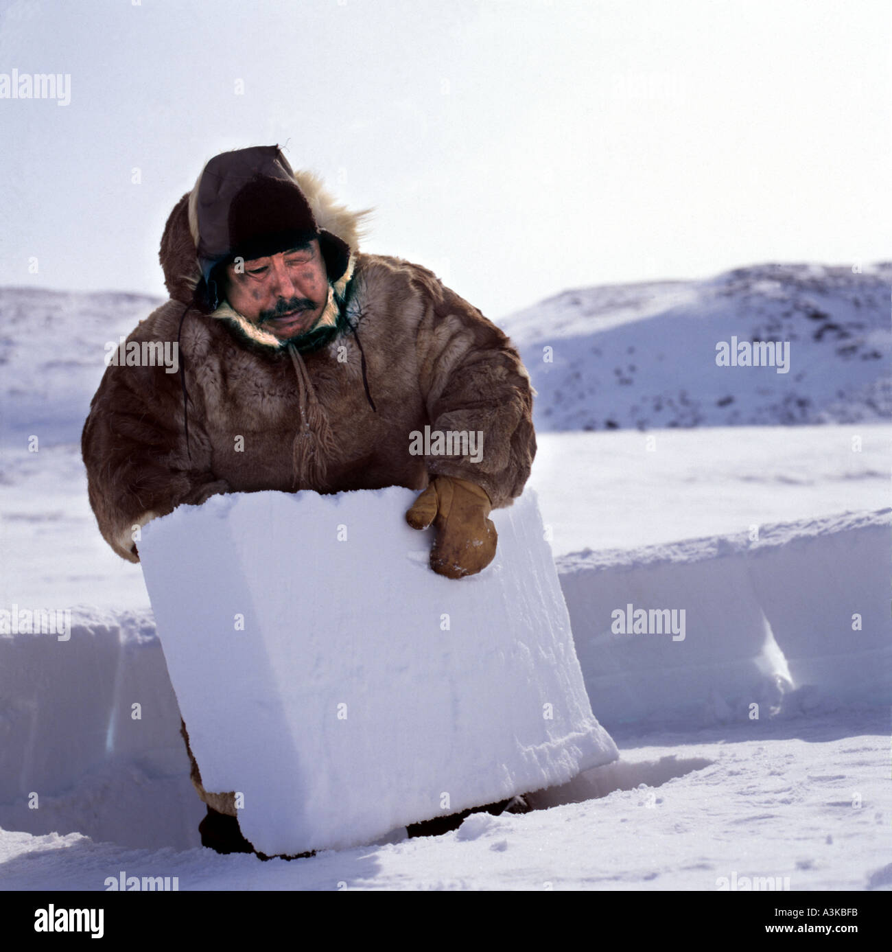 Eskimo building an igloo -Fotos und -Bildmaterial in hoher Auflösung ...