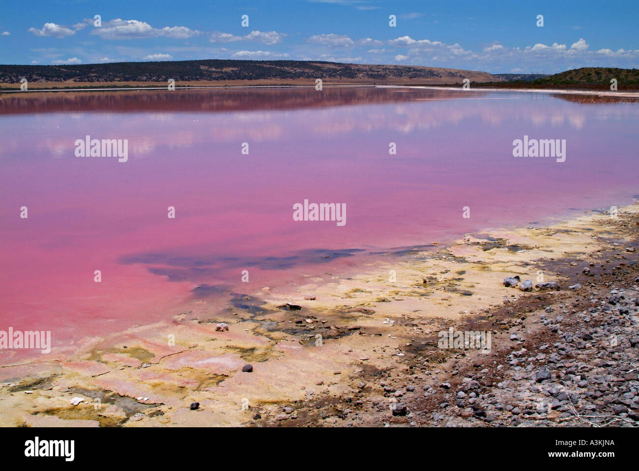 Rosa see westaustralien -Fotos und -Bildmaterial in hoher Auflösung – Alamy