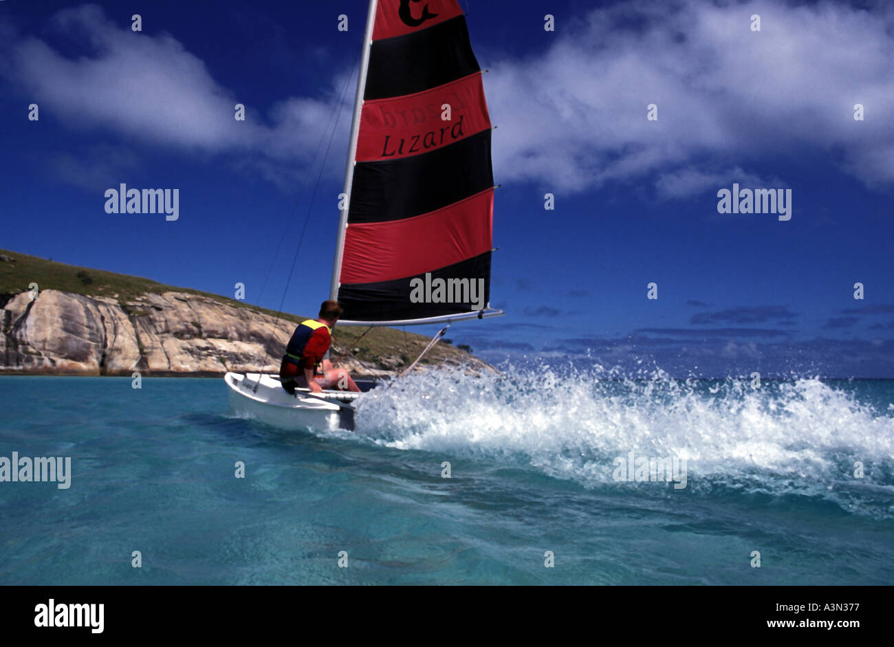 Segel waschen -Fotos und -Bildmaterial in hoher Auflösung – Alamy
