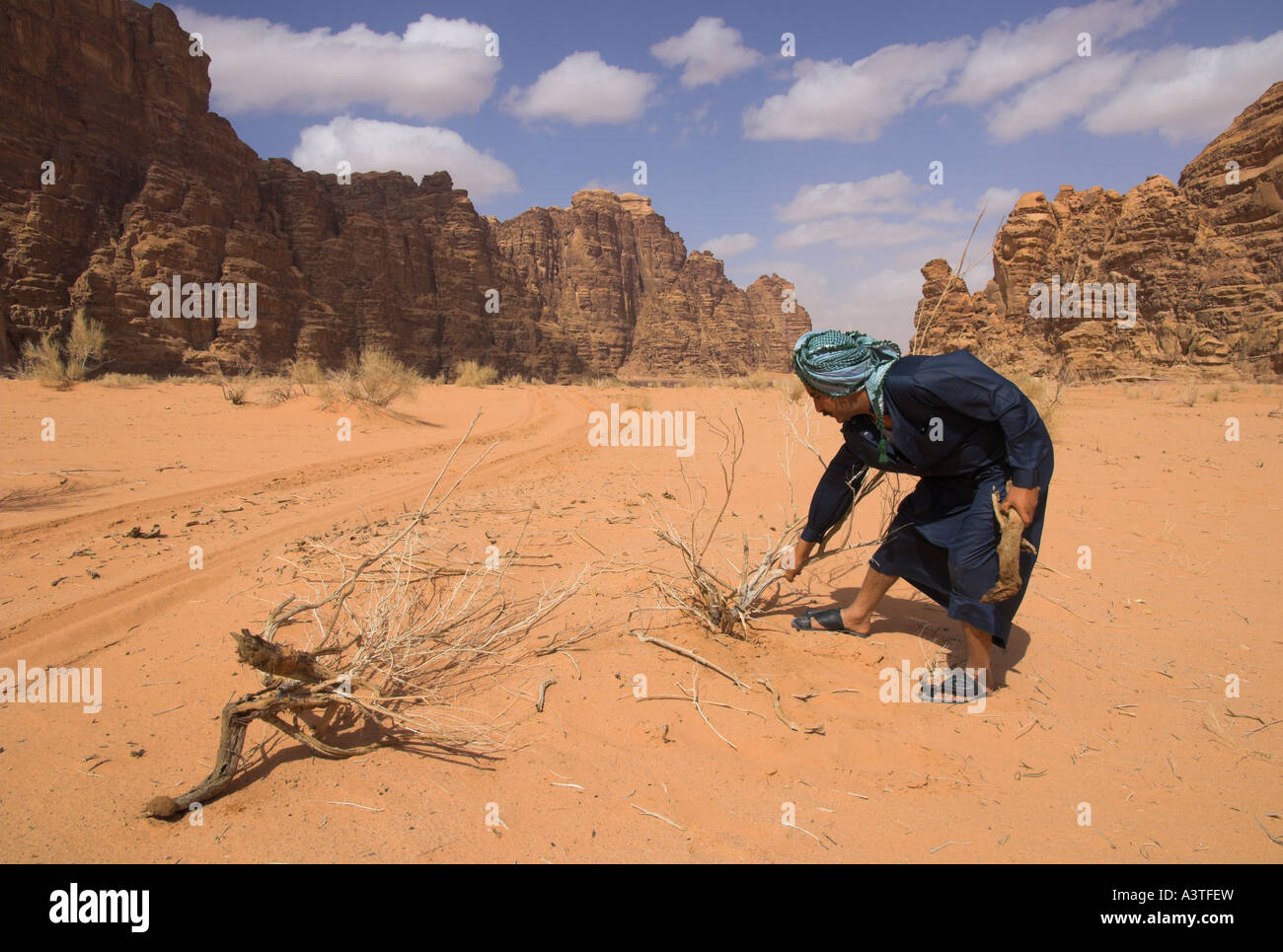 Fire desert wood man -Fotos und -Bildmaterial in hoher Auflösung – Alamy