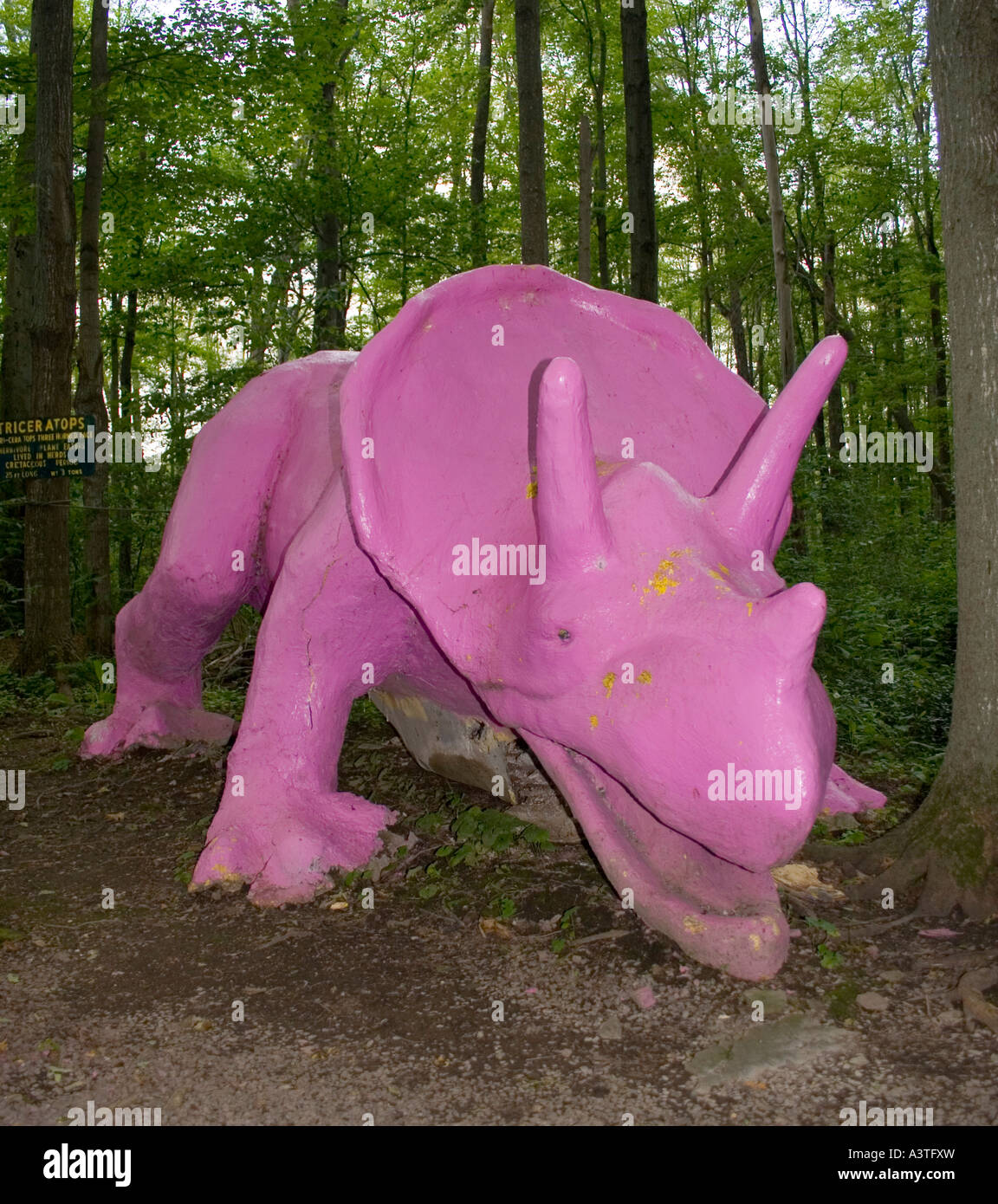 Tag Glo Pink Triceratops Saurier im versteinerten Kreaturen Museum in ...