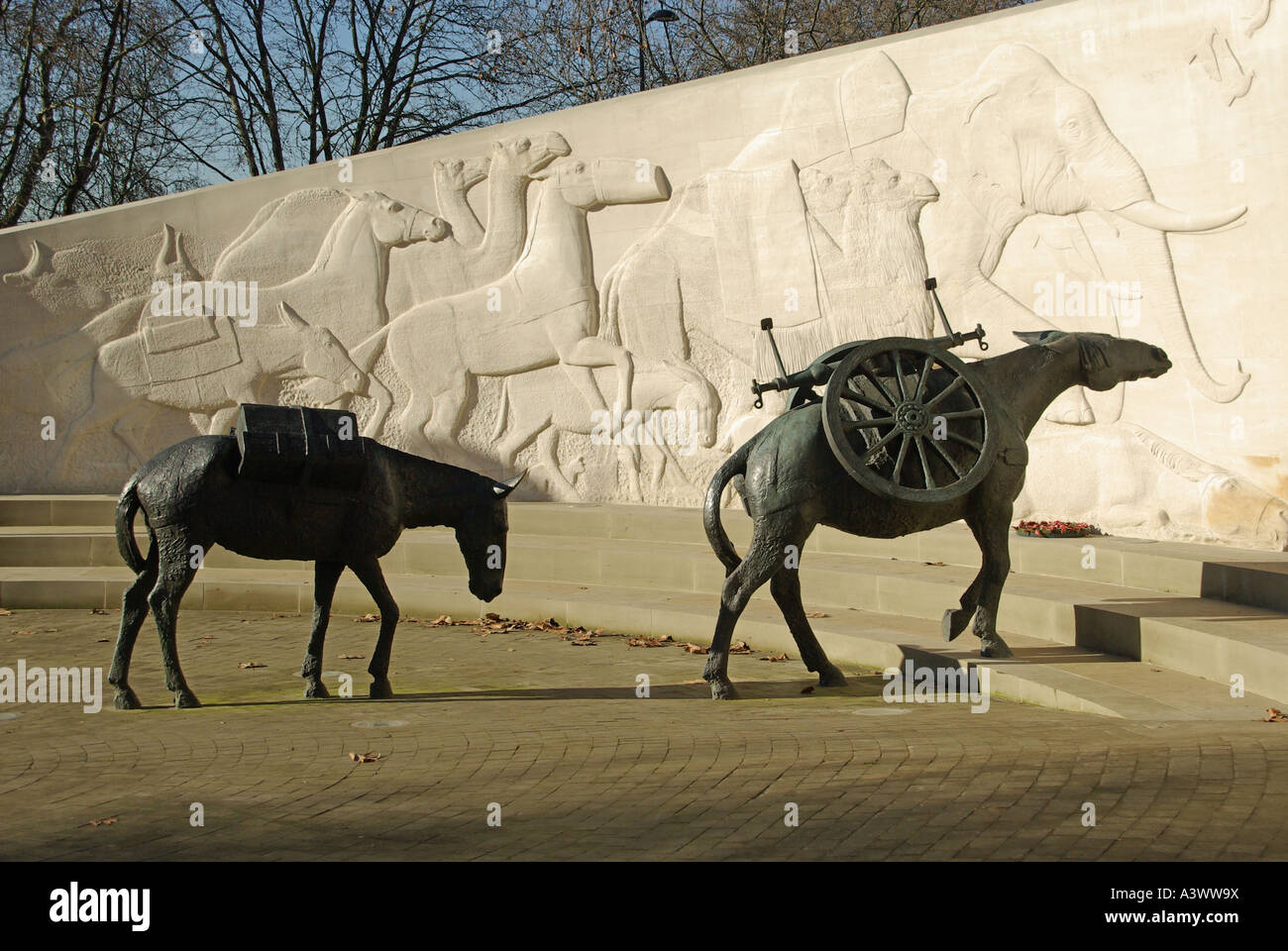 David hinterhaus -Fotos und -Bildmaterial in hoher Auflösung – Alamy