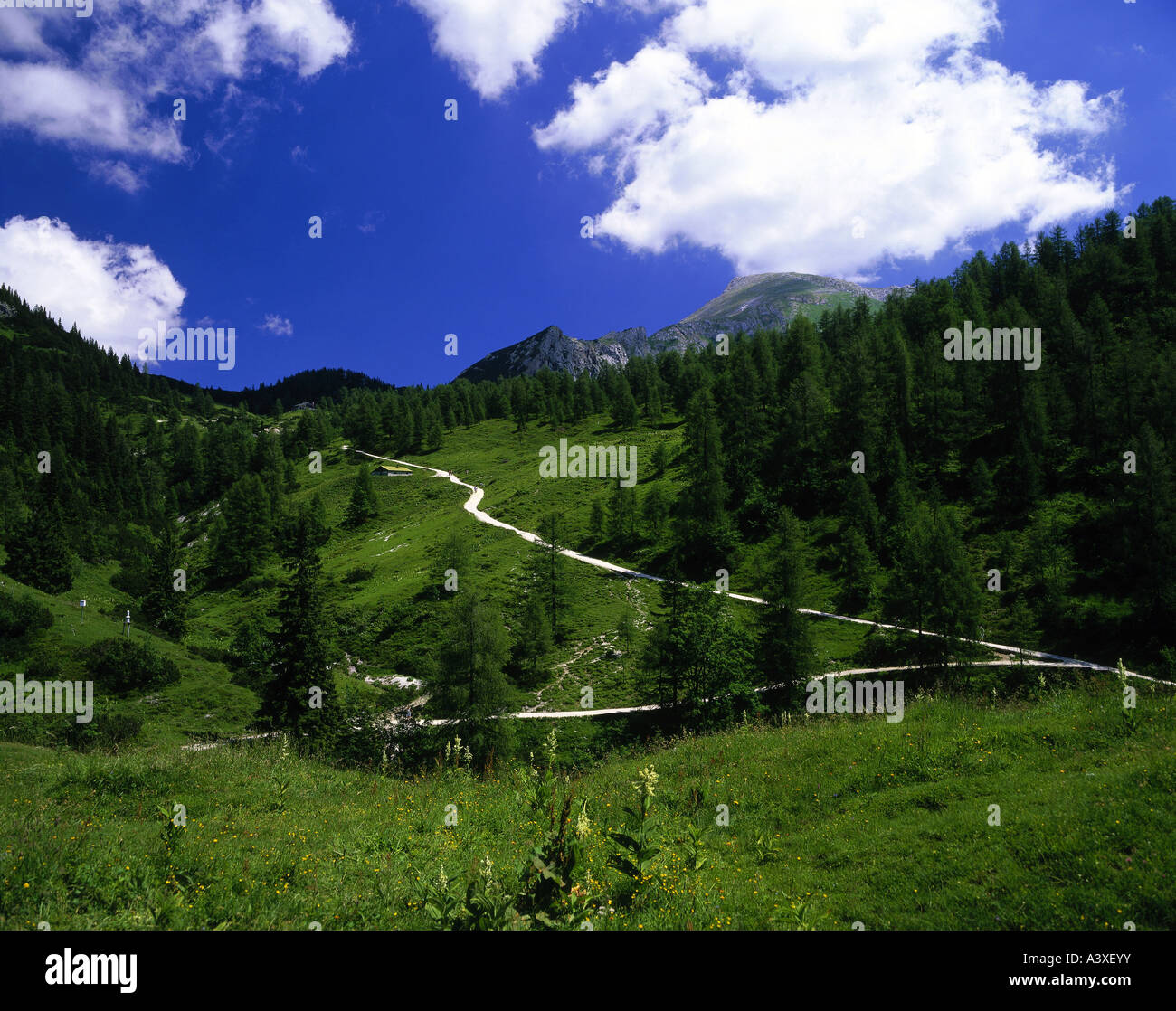 Geographie / Reisen, Deutschland, Bayern, Landschaft / Landschaften ...