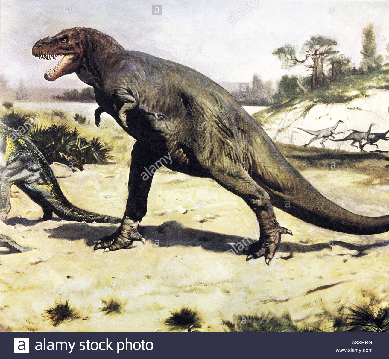 Saurian Dinosaur Stockfotos & Saurian Dinosaur Bilder - Alamy