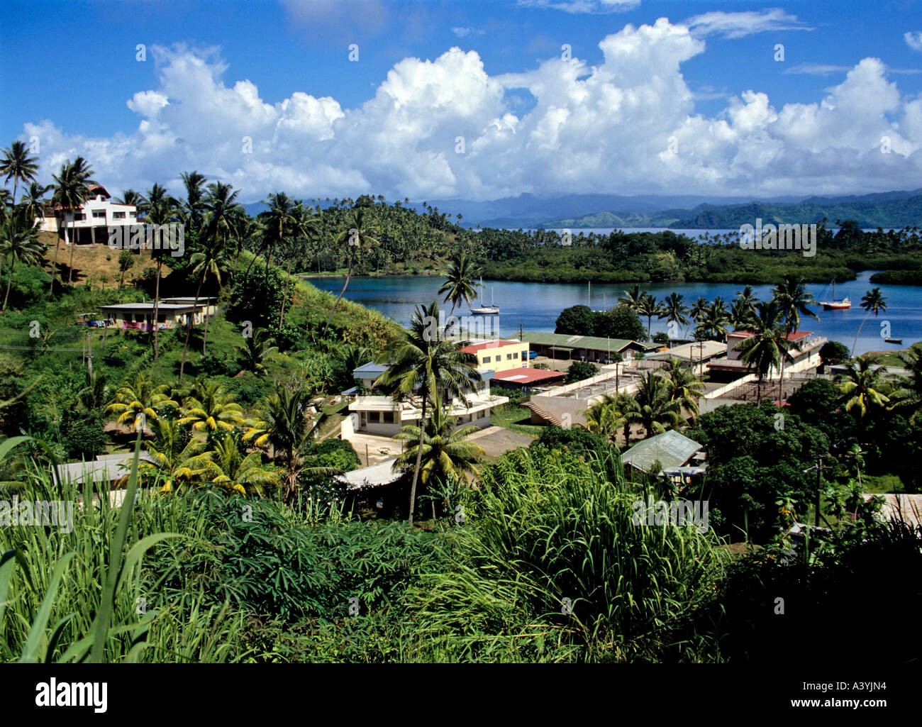 Savusavu fidschi vanua levu inseln fidschi -Fotos und -Bildmaterial in ...
