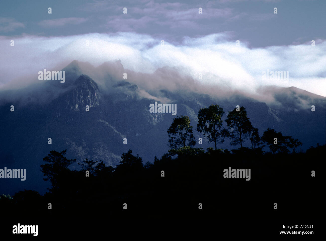 Cerro chirripo -Fotos und -Bildmaterial in hoher Auflösung – Alamy