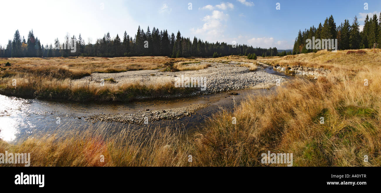 Bayerischerwald bohmerwald -Fotos und -Bildmaterial in hoher Auflösung ...