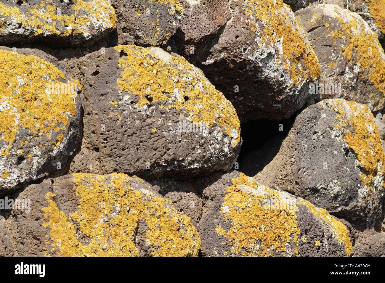 Nuraghe losa -Fotos und -Bildmaterial in hoher Auflösung – Alamy