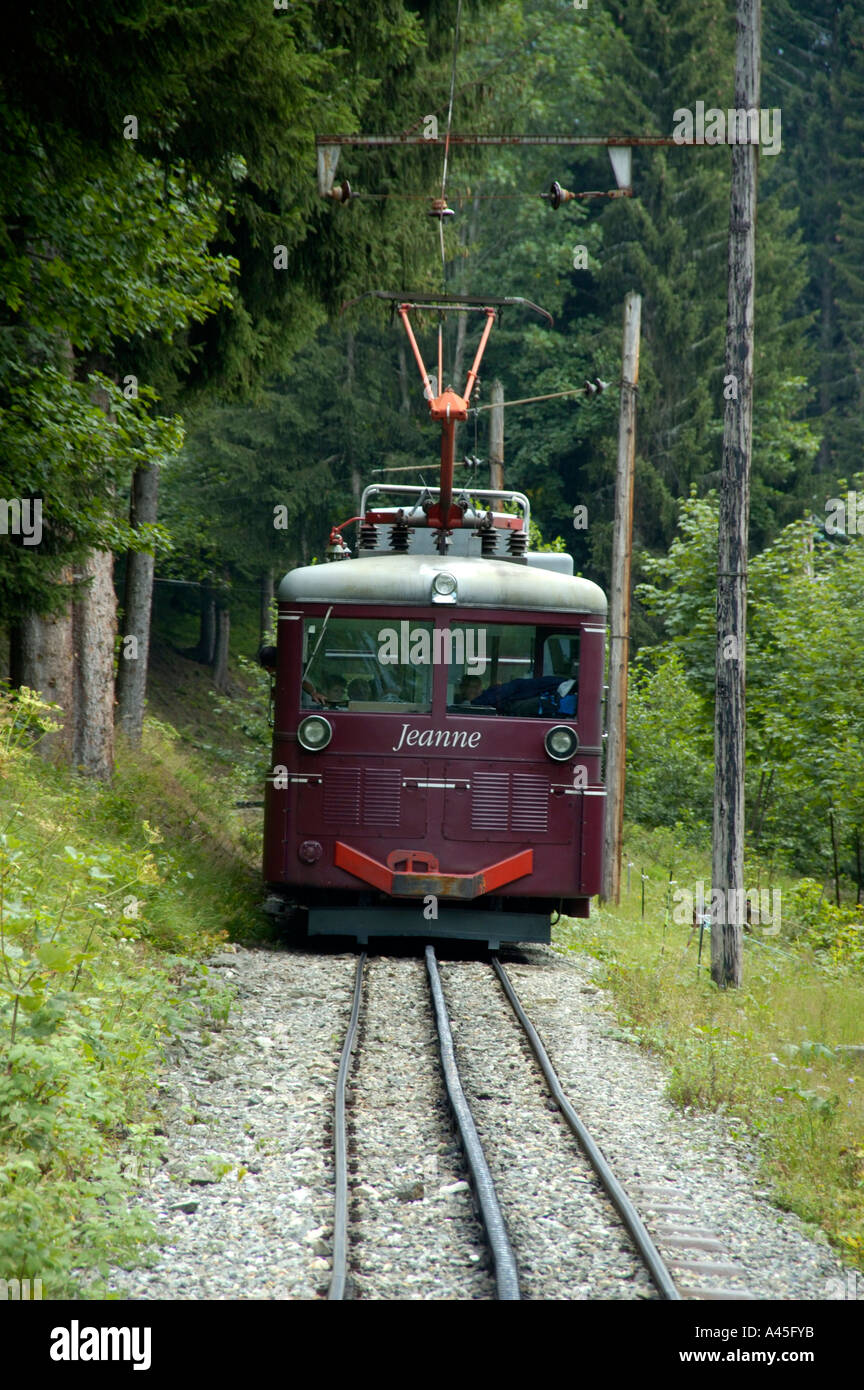 Zug-Jeanne Tramway du Mont-Blanc reitet durch den Wald Haute-Savoie ...