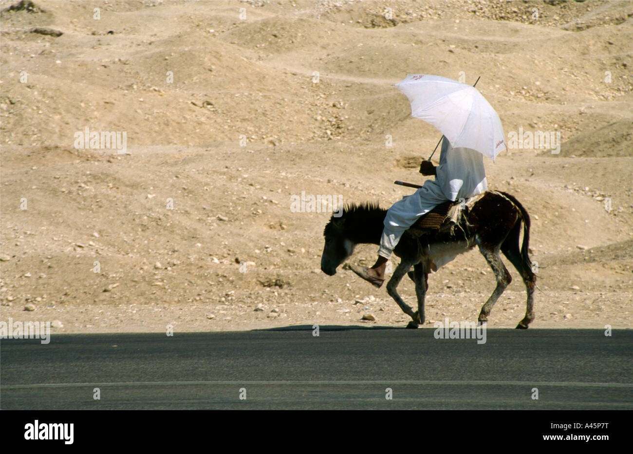Mann und esel -Fotos und -Bildmaterial in hoher Auflösung – Alamy