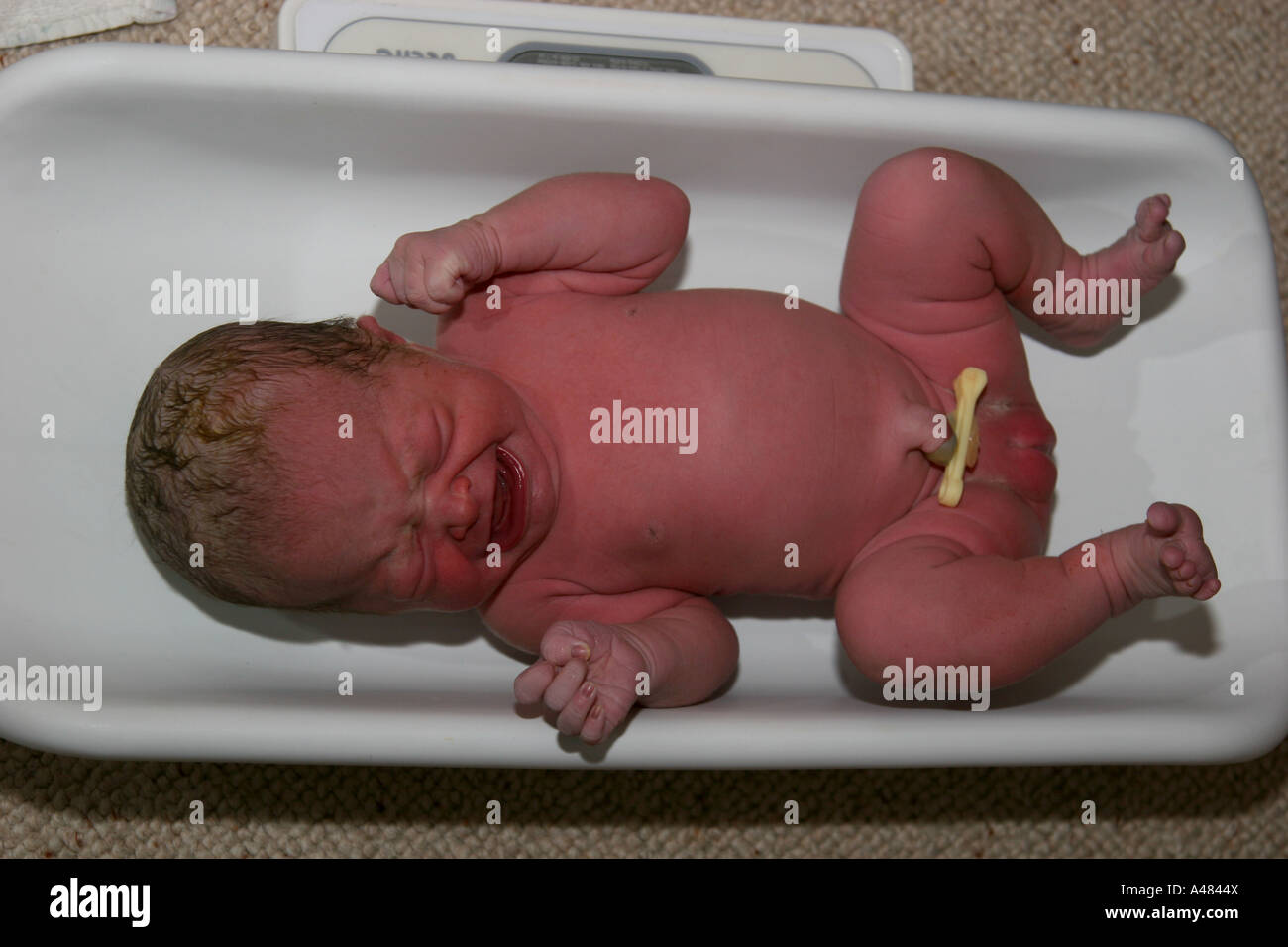 After birth -Fotos und -Bildmaterial in hoher Auflösung – Alamy