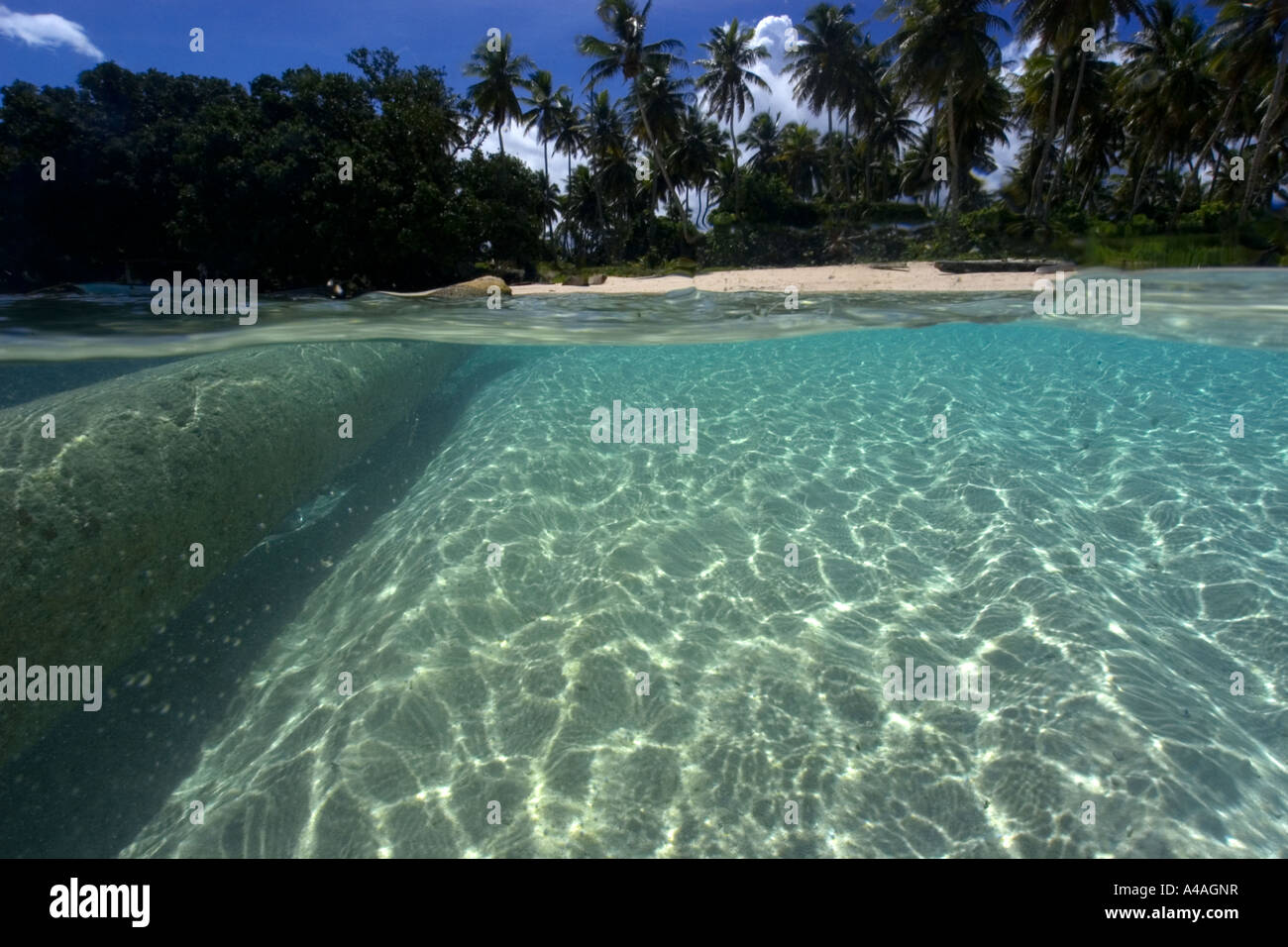 Split-Bild von Log sandigen Boden und Insel Truk Lagune Chuuk ...