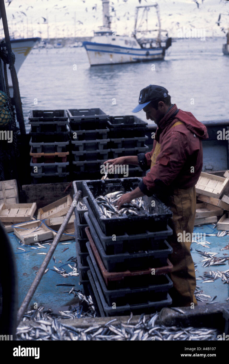 Fischer sortieren fische -Fotos und -Bildmaterial in hoher Auflösung ...