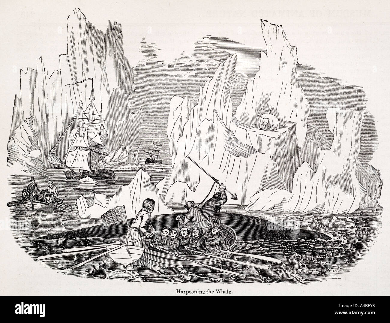 Wal zeichnung -Fotos und -Bildmaterial in hoher Auflösung – Alamy