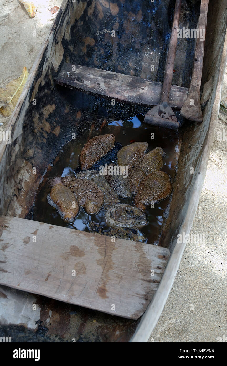 Bucht von beche de mer -Fotos und -Bildmaterial in hoher Auflösung – Alamy