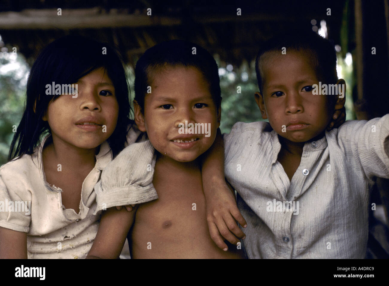 Shipibo Stamm. Porträt von drei kleinen Kindern Amazonas Peru 1991 ...