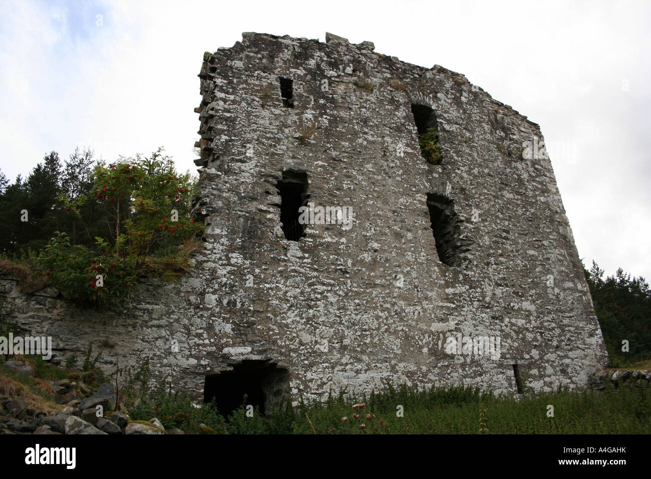 Elibank -Fotos und -Bildmaterial in hoher Auflösung – Alamy