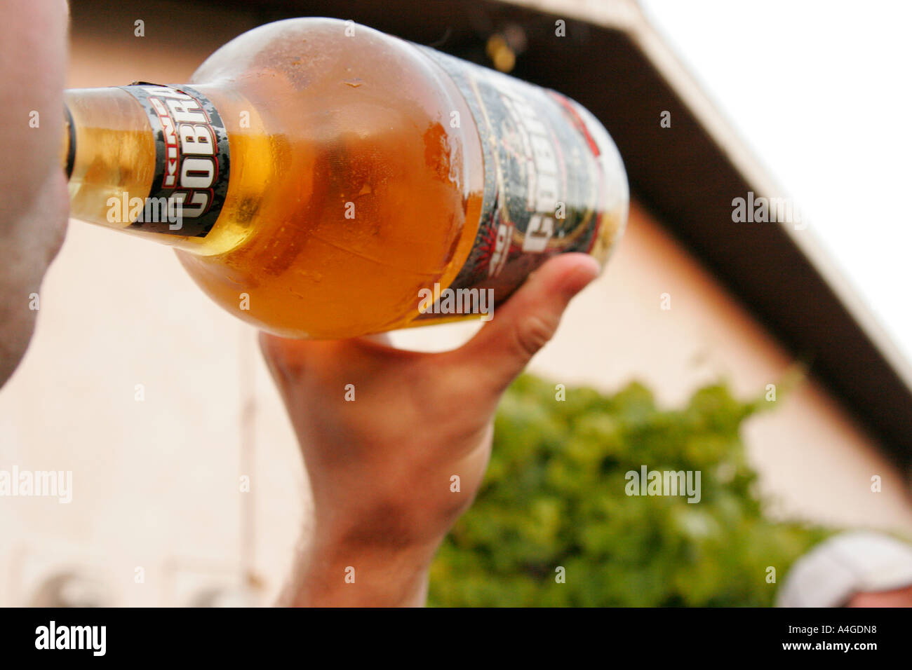 Bierkönig party -Fotos und -Bildmaterial in hoher Auflösung – Alamy