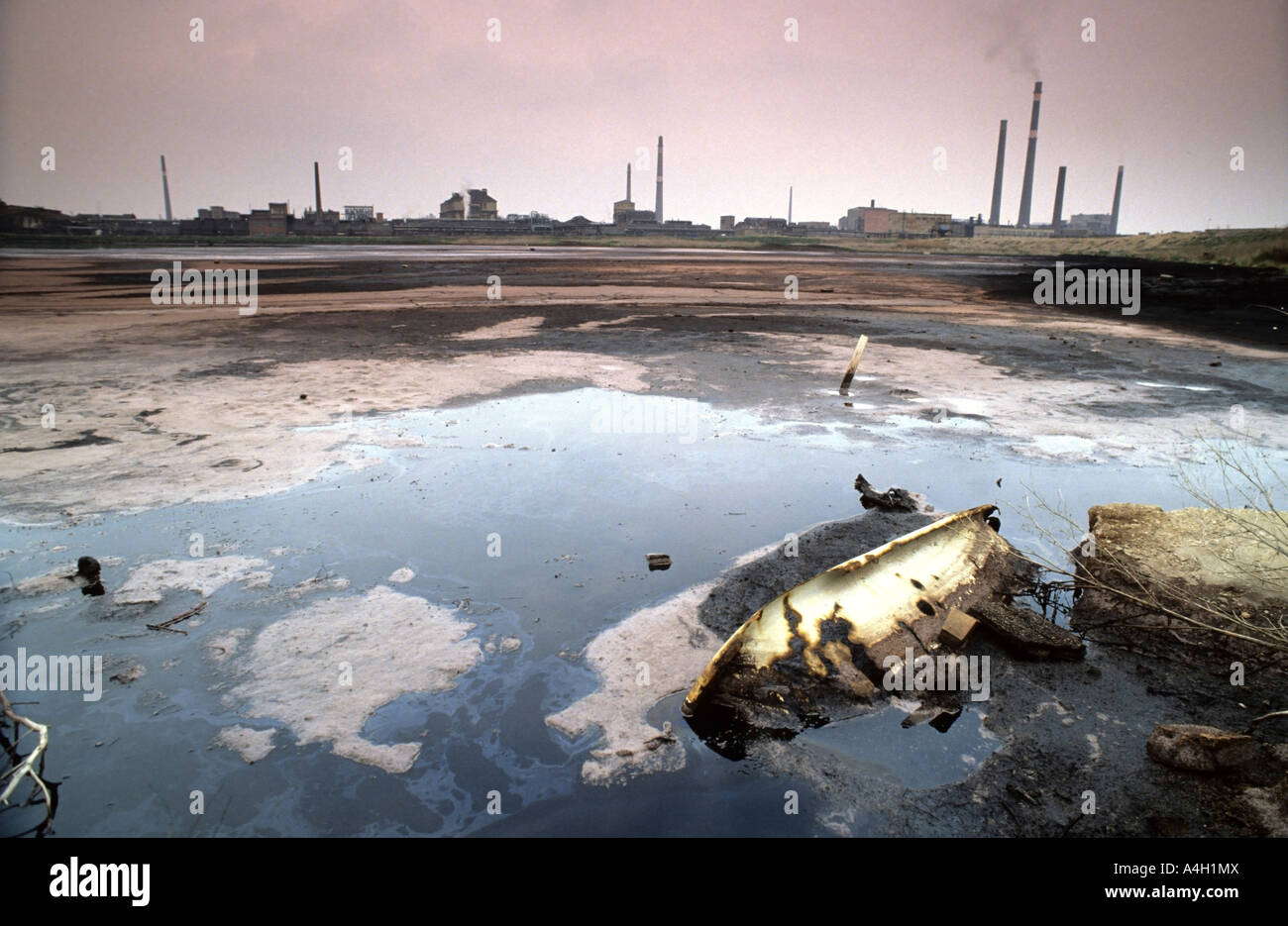 Bitterfeld environment -Fotos und -Bildmaterial in hoher Auflösung – Alamy