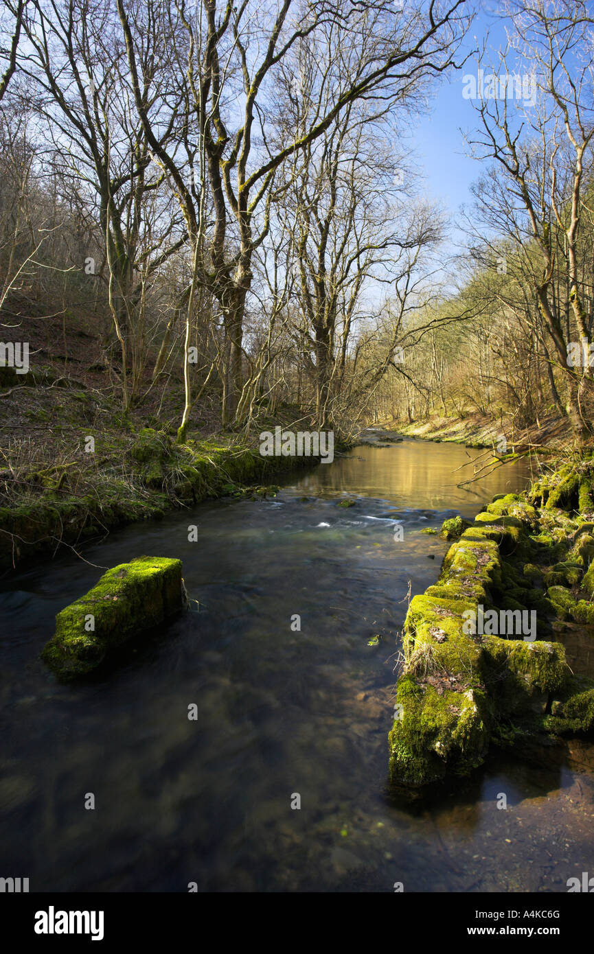Der Fluß Lathkill bei Lathkill Dale in der Peak District National Park ...