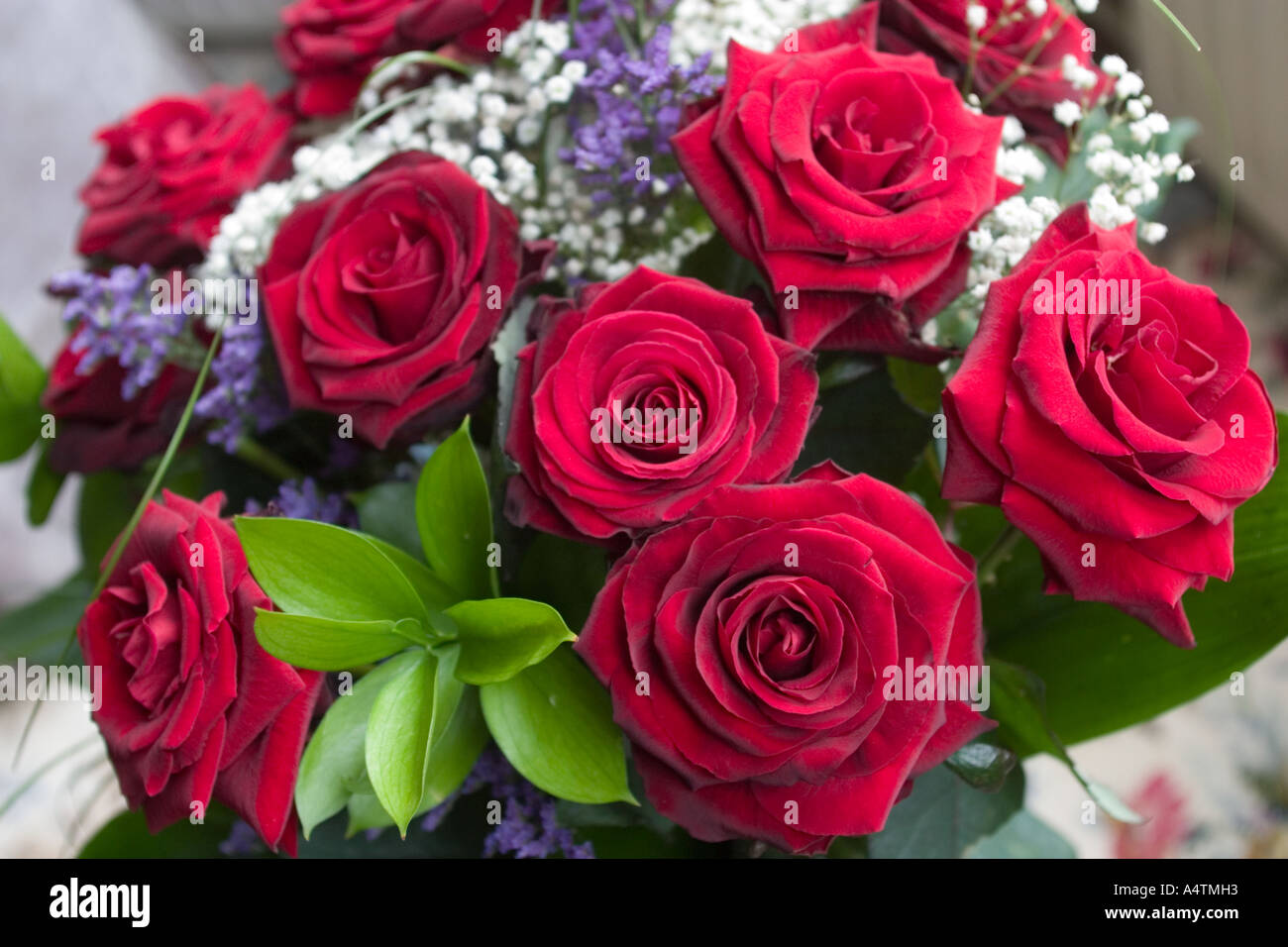 Spray von farbigen rosen -Fotos und -Bildmaterial in hoher Auflösung ...